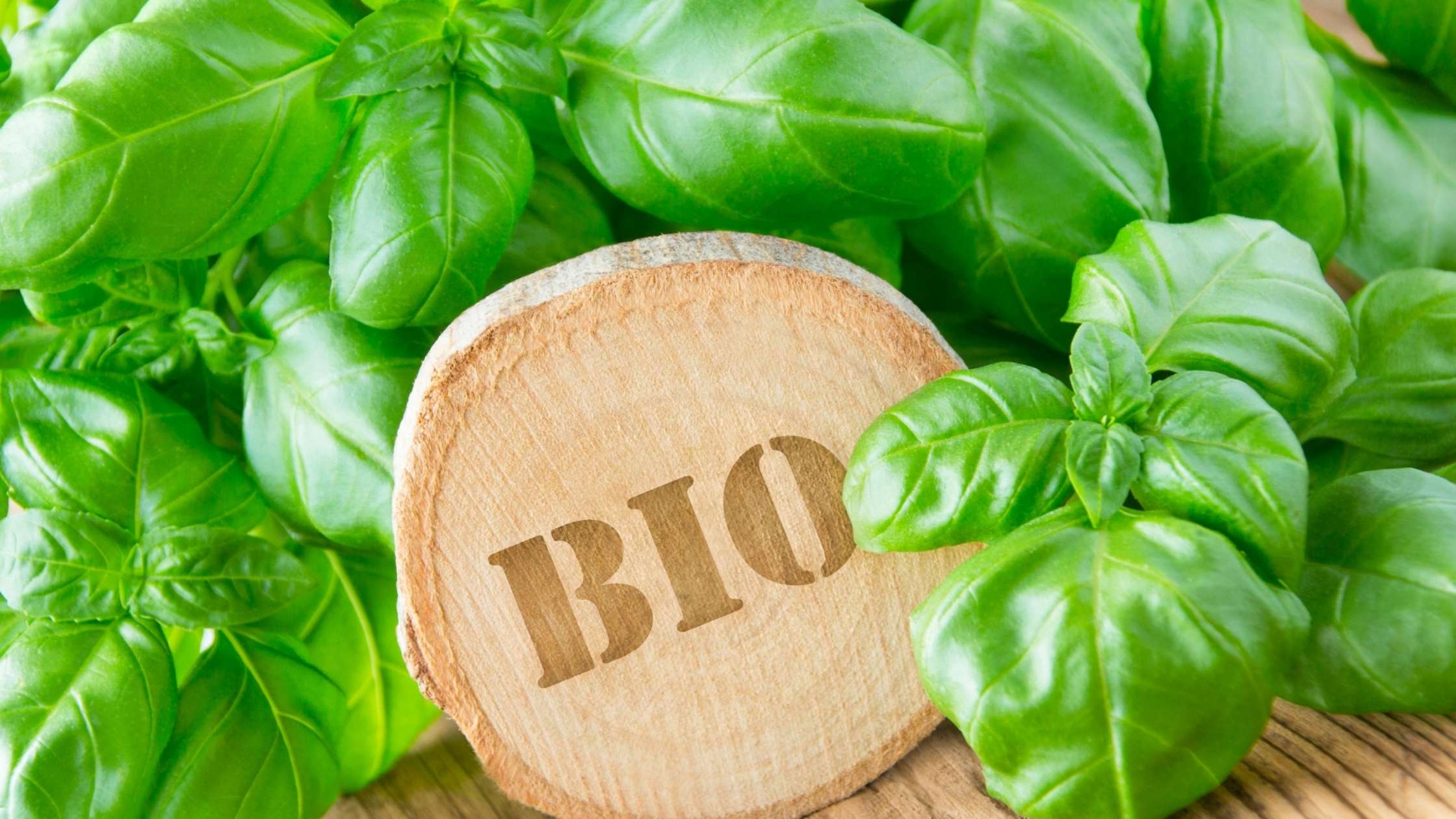 Produzione ed etichettatura dei prodotti biologici | Pasta&Pastai