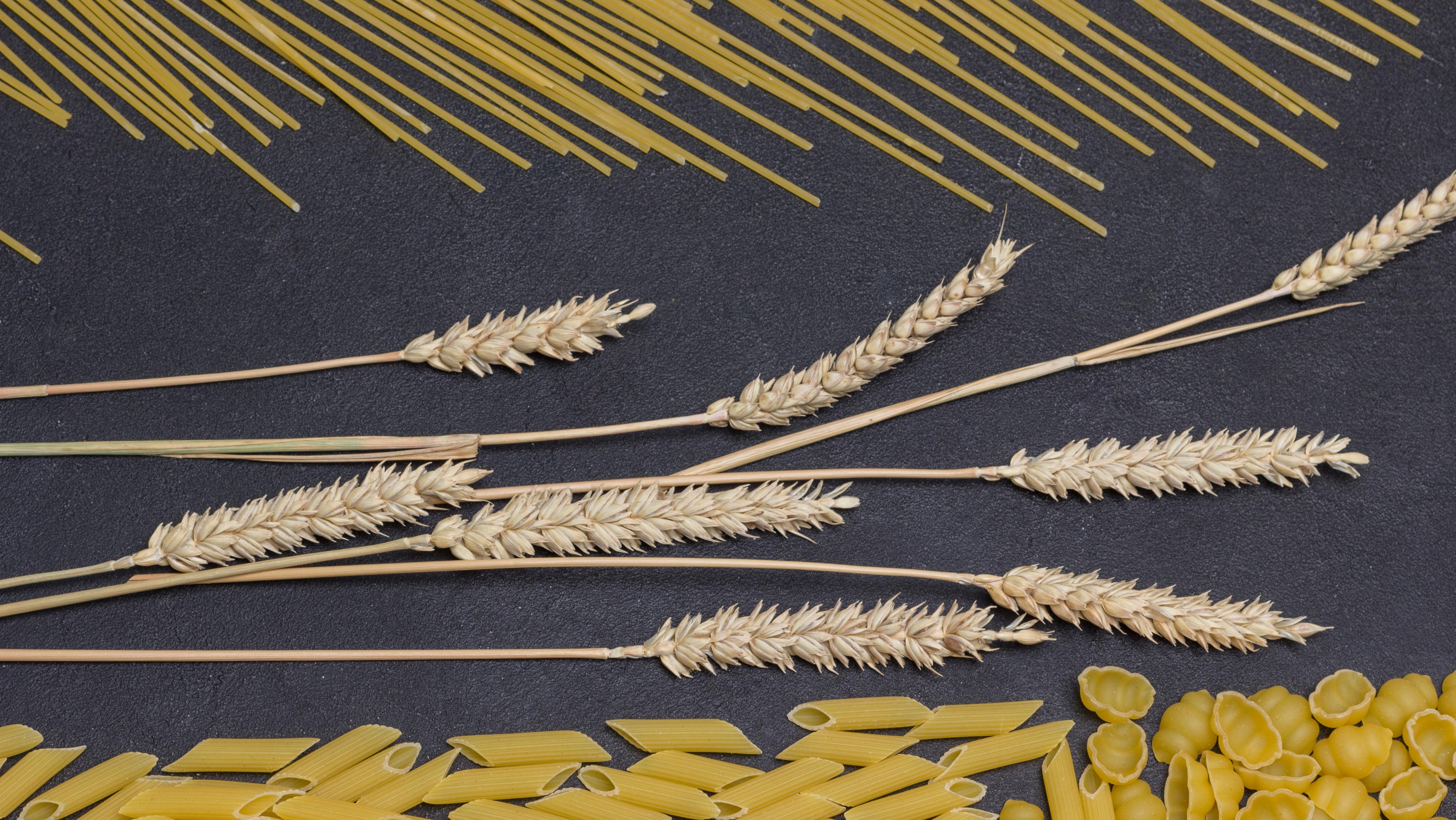 L'andamento del consumo di grano duro | Pasta&Pastai