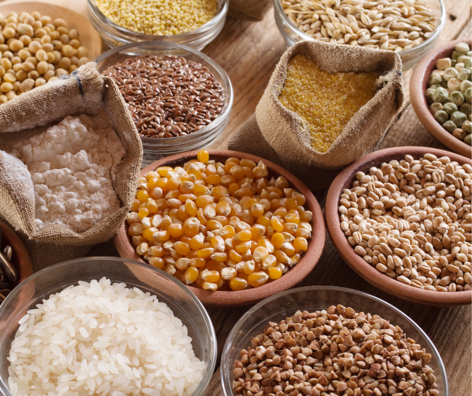 Giornata mondiale dei cereali: alcuni dati in Italia | Pasta&Pastai